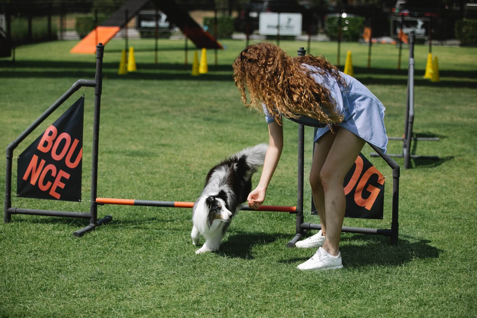 Cours de groupe pour chien et chiot | Centre Canin des Ruisseaux